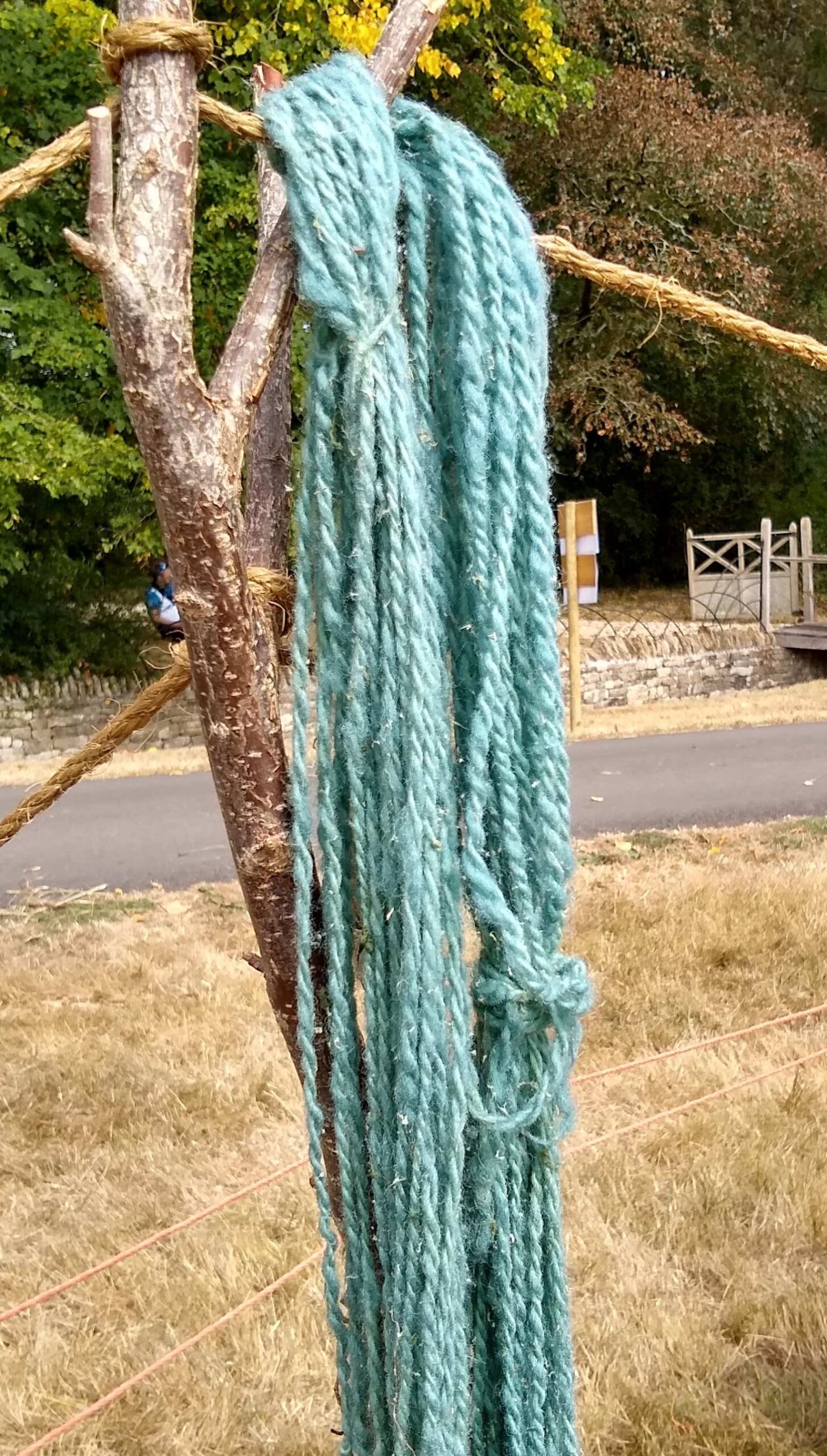 Dyeing with Woad to get Blue Workshop - Jo Nash Textiles